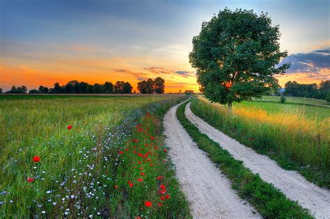 Summer Country Desktop Wallpaper