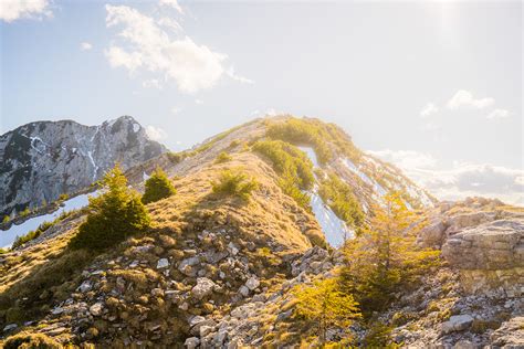 Alpen on Behance