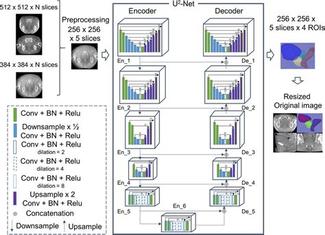 Evaluation Of Generalization Ability For Deep Learning‐based Auto‐segmentation Accuracy In