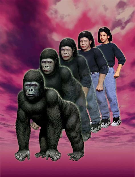 David Mattinglys Animorphs Page