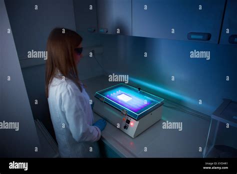 Female Scientist Doing Experiment In Laboratory Stock Photo Alamy