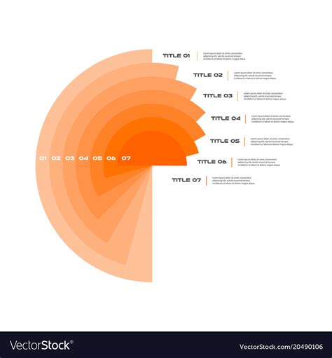 Concentric Infographics Step By In A Series Vector Image