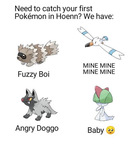 Random Hoenn Meme Rpokemonmemes