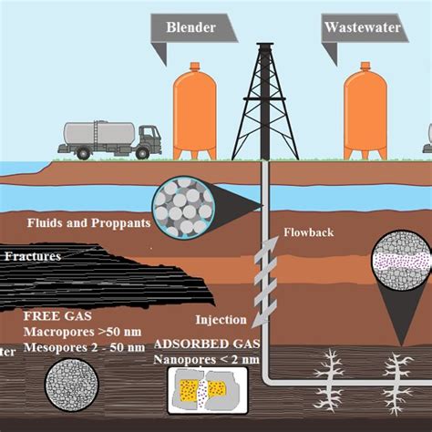 Pdf Biogenic Methane In Shale Gas And Coal Bed Methane A Review Of