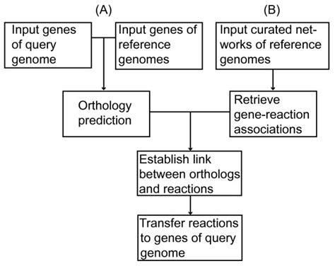 schematic representation of the autograph method the method consists
