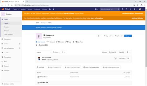 CenOS 安装GitLab 使用外部Nginx配置 并配置HTTPS协议 hellogit documentation