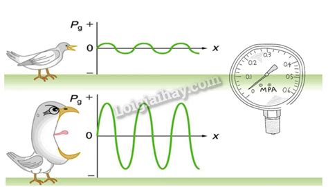 C Ng S Ng L G Loigiaihay Com