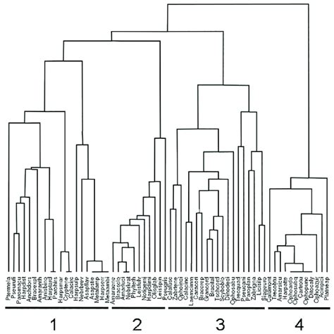 species classification by means of correlation coefficient and average