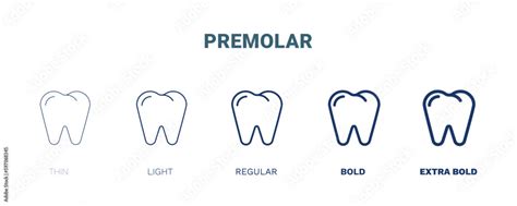 Premolar Icon Thin Light Regular Bold Black Premolar Icon Set From Medical Collection