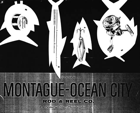 Montague Archives Orca