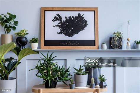 모의 포스터지도 아름다운 식물 선인장 다육 식물과 현대적인 가정 장식우아한 개인 액세서리의 많은 거실의 세련된 인테리어 식물에 대한 스톡 사진 및 기타 이미지 Istock