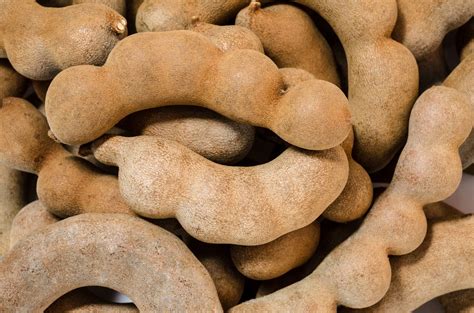 El Tamarindo ¿qué Es ¿a Qué Sabe ¿qué Nutrientes Tiene