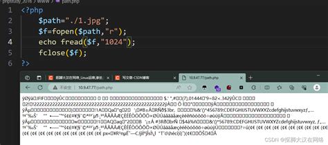 任意文件读取漏洞 arbitrary file read download vulnerability ewebs arbitrary
