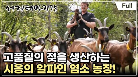 Full 세계테마기행 알프스 따라 스위스 치즈 익는 마을 Youtube