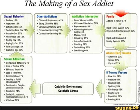 The Making Of A Sex Addict Other Addictions Sexual Behavior Addiction Interaction Family Fantasy