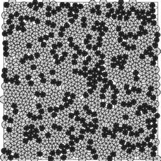 A Typical Particle Configuration And The Bonds Defined At A Given Time Download Scientific