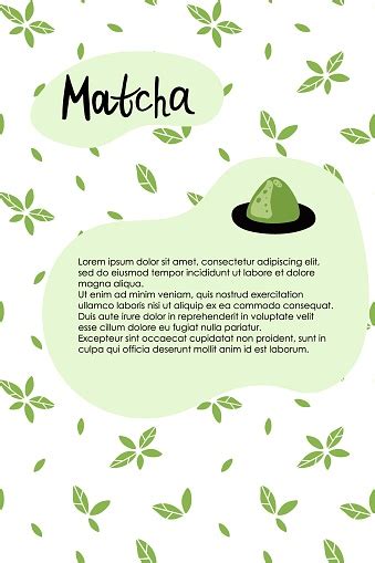 말차 배경 손으로 그린 전통 일본 음료 파우더 그린 잎 중국 녹차 트렌디 한 유기농 맛있는 음료 벡터 만화 분리 배너 와 복사 공간 0명에 대한 스톡 벡터 아트 및 기타
