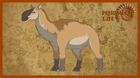 Macrauchenia By Shipputomas On Deviantart