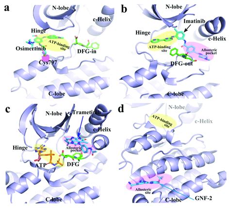 Kinase Inhibitor Binding Modes A Type I Inhibitor Osimertinib With A