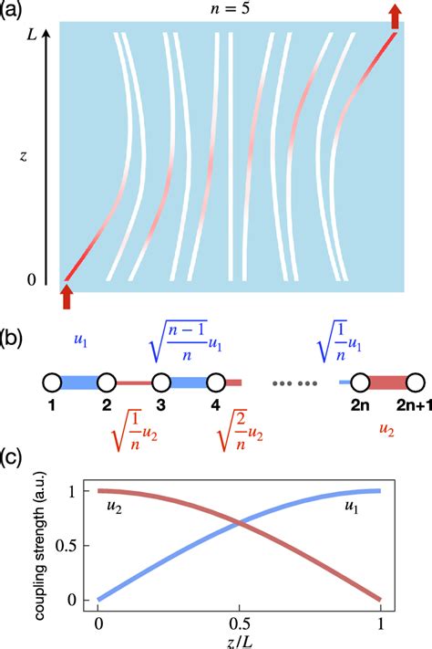 a schematic light transfer in a waveguide array with 11 sites n