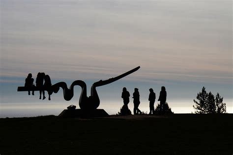 Porter Squiggle Squiggles Porter Vibes