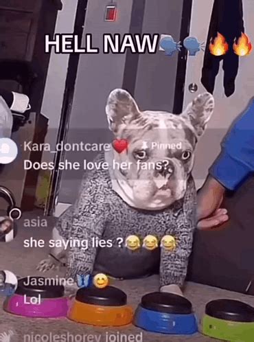 Helvete Nah Meme Hell To The Naw S Tenor