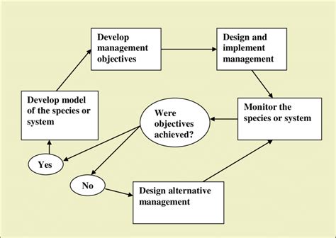 Diagram Of The Adaptive Management Cycle Adapted From Elzinga Et Al Download Scientific