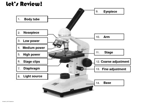 Microscope Parts Diagram Worksheet Microscope Parts Labeled