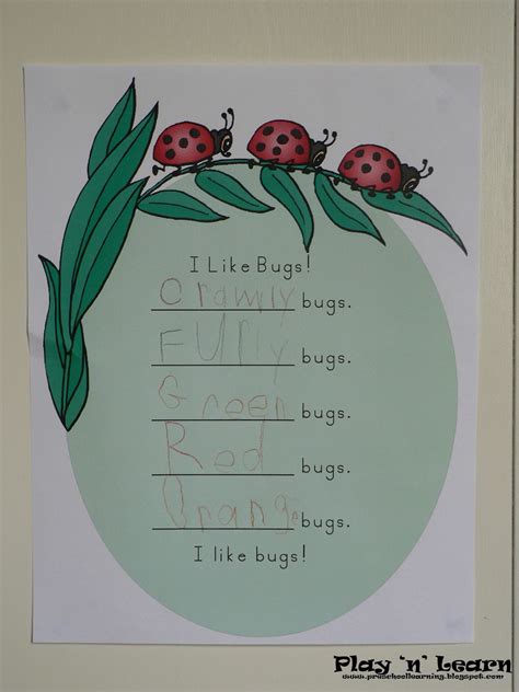 Play N Learn I Like Bugs
