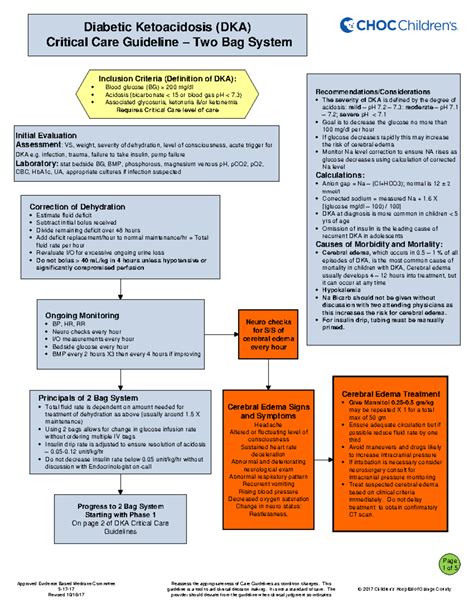 Diabetic Ketoacidosis Care Guideline Critical Care Guideline Two