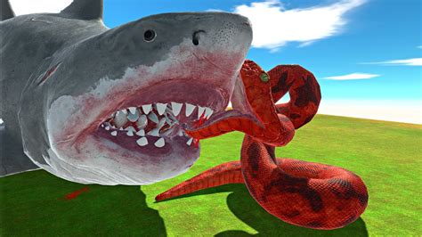 Battle Of Monster Titanoboa Vs Megalodon Youtube