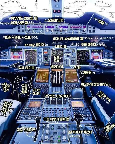 비행기 조종석 가이드 라인 인스티즈 Instiz 이슈 카테고리