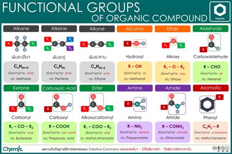 Alkanes Cycloalkanes And Functional Groups Flashcards For Class 12