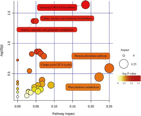 Metabolome Map Of Significant Metabolic Pathways In The Leaves Of Efp
