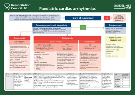 Paediatric Advanced Life Support Guidelines Pdf Cardiology Cardiovascular System