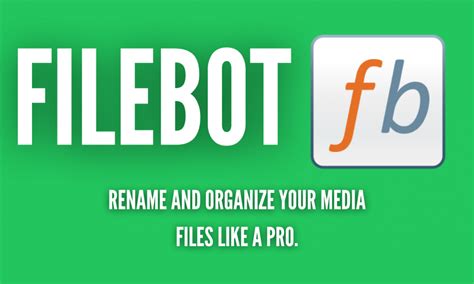 filebot name file step by step instructions to utilize filebot to put