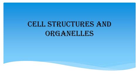 Ppt Cell Structure Organelle Function Powerpoint
