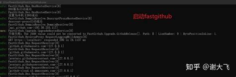 FastGithub下载及使用 CSDN博客