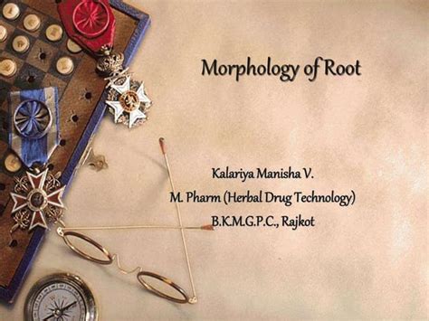 Modifications Of Roots Pptx