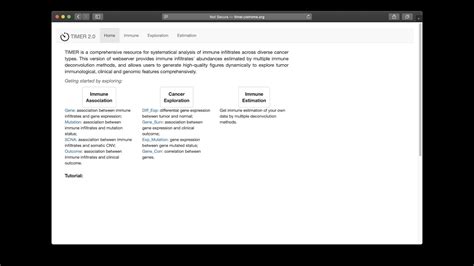 Timer Tutorial Youtube