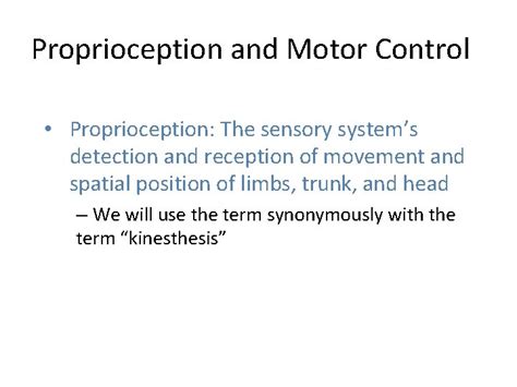 Proprioception And Vision Proprioception And Motor Control Proprioception