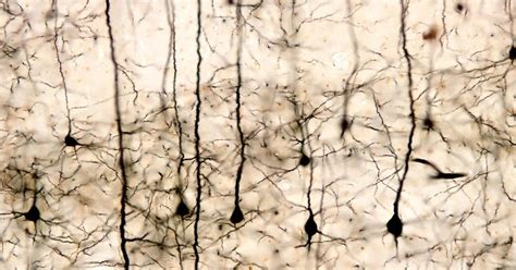 Iron Podcast Chemistry World