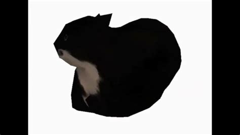 Мемный кот из тик тока крутится 1 час Youtube