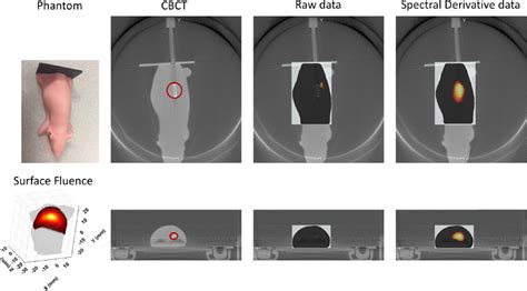 Figure 4 From Quantitative Bioluminescence Tomography Using Spectral Derivative Data Semantic