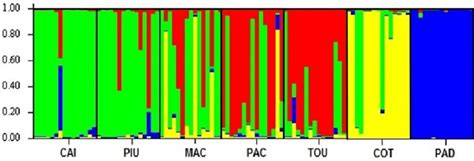 Genetic Structure According To The Bayesian Analysis And Proportion Of Download Scientific