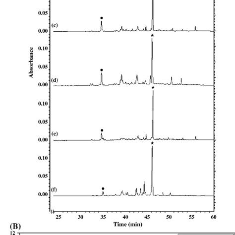 A Hplc Profiles For A Standard Doxorubicin B S Peucetius Desqs Download Scientific