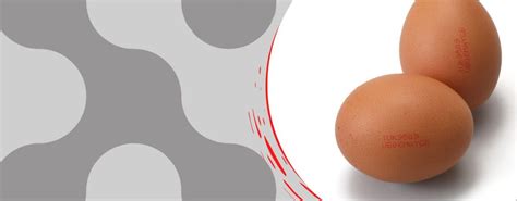 Innovative Egg Coding Solutions From Domino Intrex