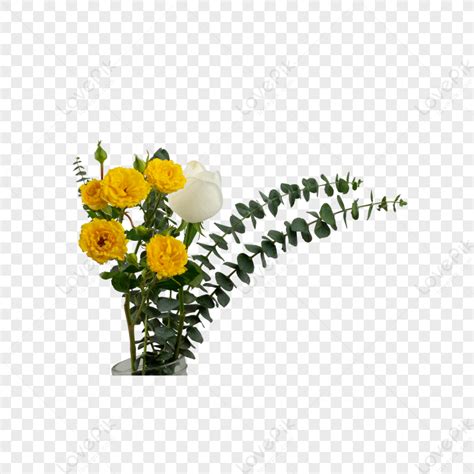 아름 다운 밝은 노란색 장미 사진 사진유칼립투스하얀 Png 일러스트 무료 다운로드 Lovepik