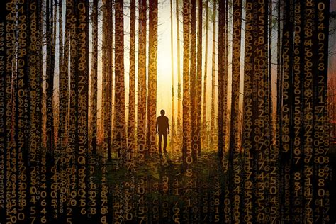 Data Structures Understanding The Binary Tree By Asad Ali May 2024 Medium