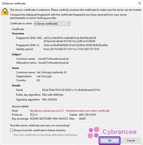 Accessing And Creating Ftp Users In Plesk Cybrancee Knowledgebase